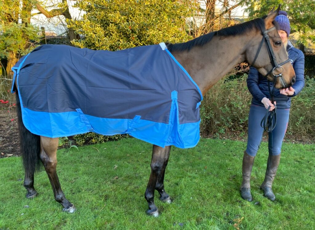 IV Horse Turnout Rug 100g Fill 600 Denier Standard neck - Windowbox Limited