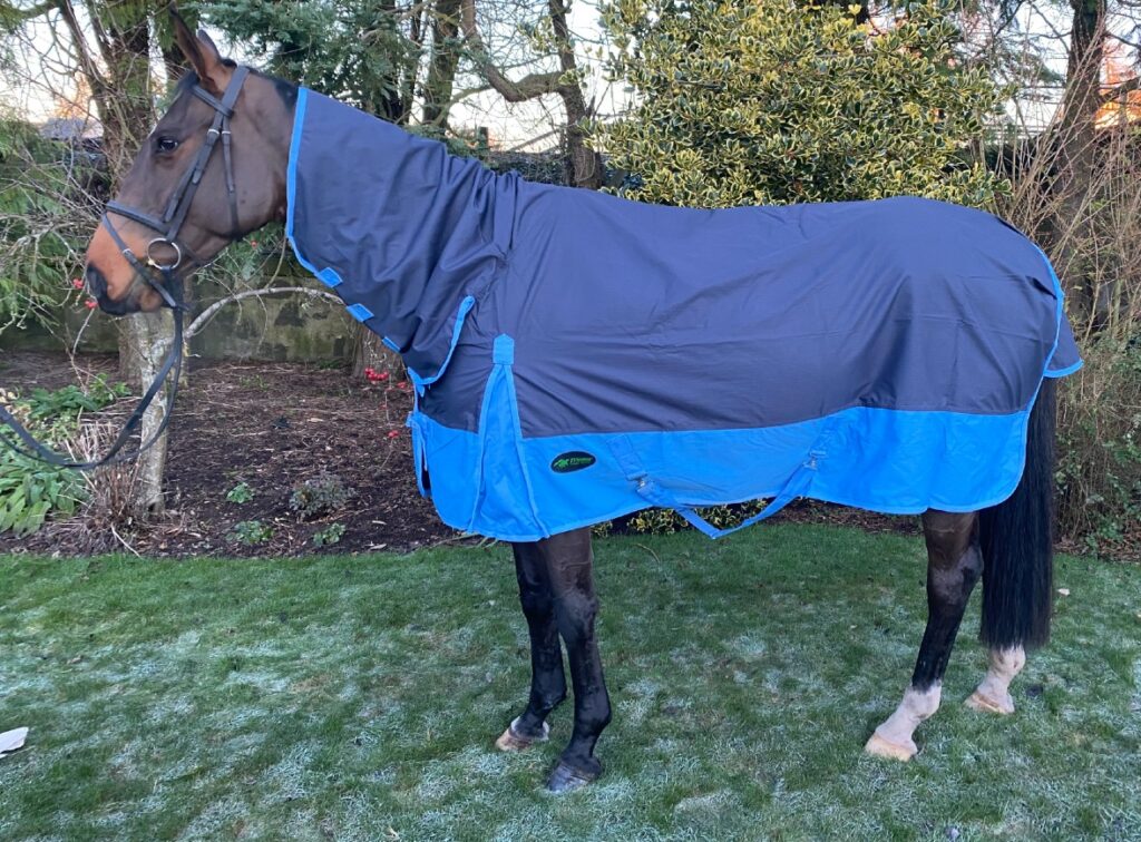 IV Horse Combination Turnout Rug 100g Fill 600 Denier - Windowbox Limited